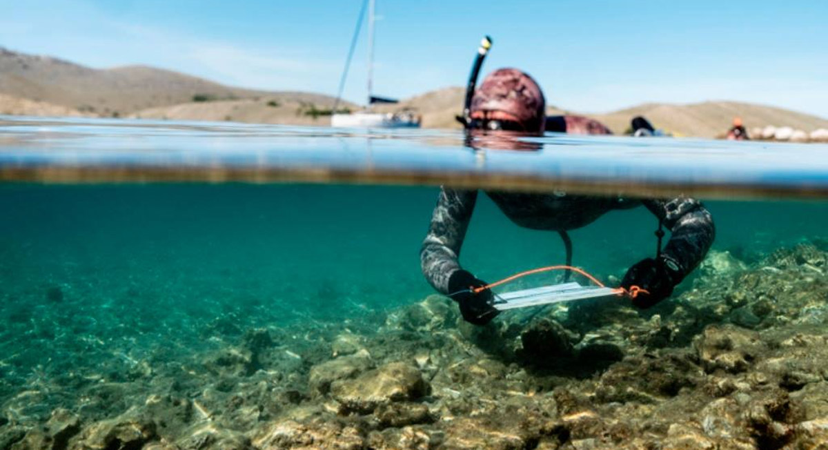 Océanographie : expédition Arctic Mediterranean Mercury le 18/09 - Site ...